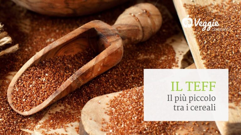 Farina di teff ricette salate | Actualizado Dicembre 2025